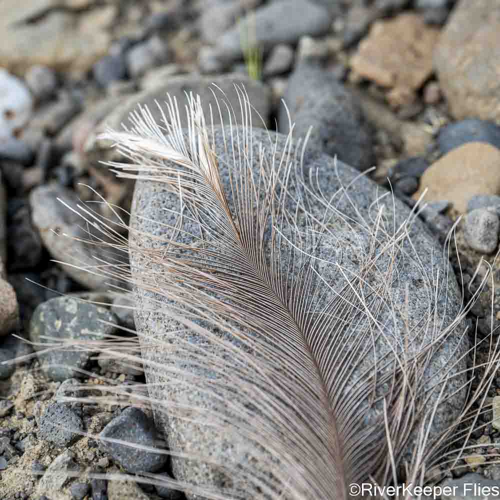 Fly Fishing the Rio Baguales with Rumbo Patagon - RiverKeeper Flies