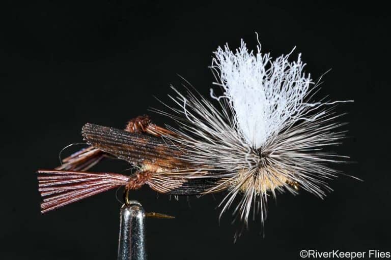 Schroeders Parachute Hopper - RiverKeeper Flies