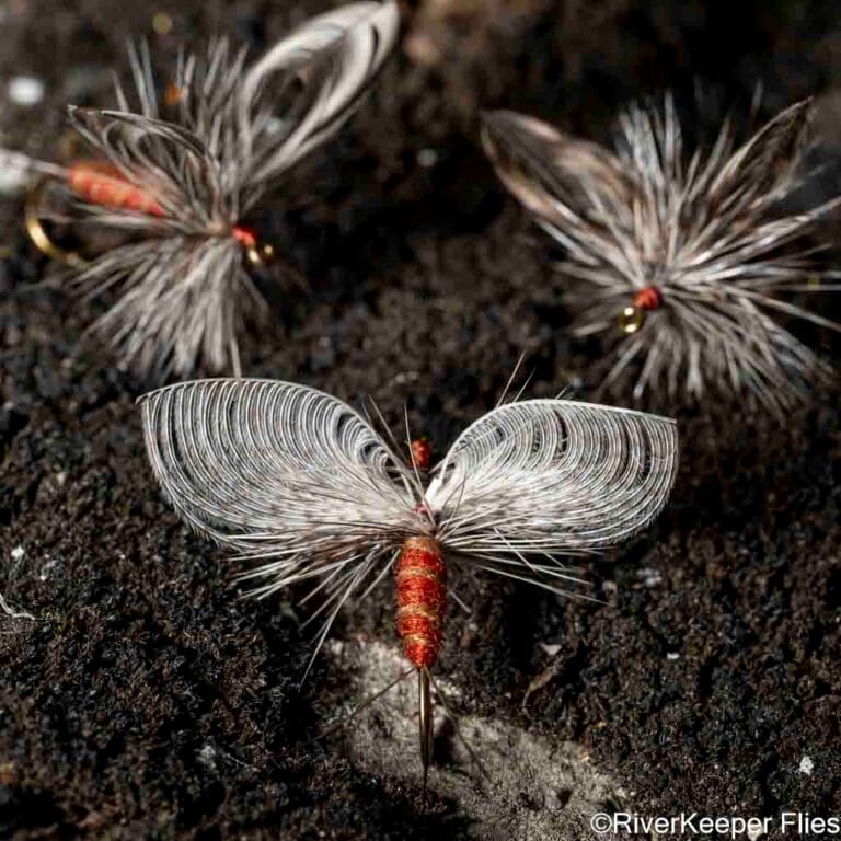 Green Drake Spinners and Flies to Imitate Them - RiverKeeper Flies